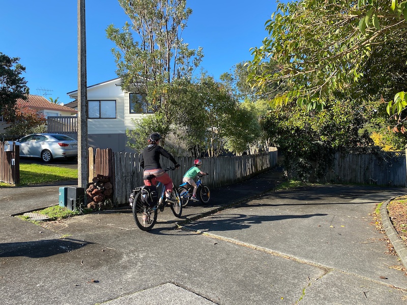 Unsworth Reserve Bush Bash Mountain Biking Trail - Cambridge
