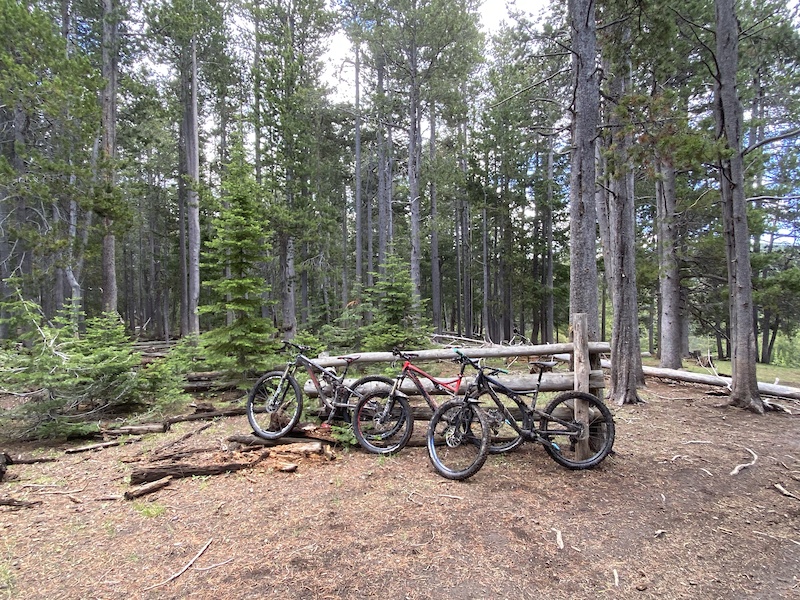 Ruby Creek Mountain Biking Trail - Driggs, Idaho