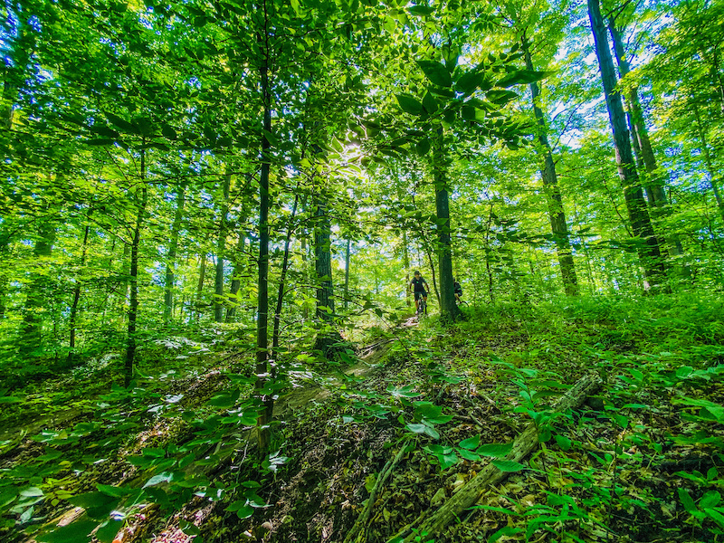 Neil's Hill Mountain Biking Trail - Puslinch Township