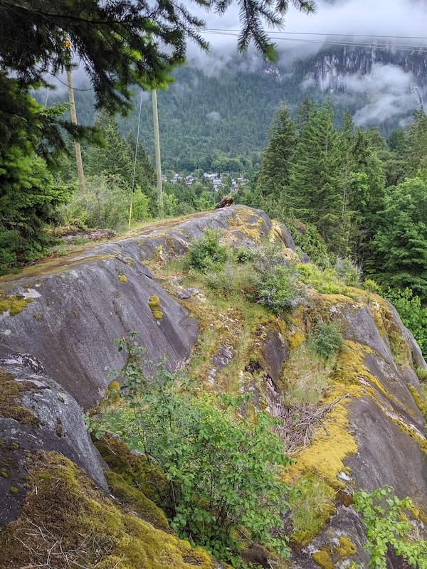 Rock Lookout Hiking Trail - Squamish, British Columbia