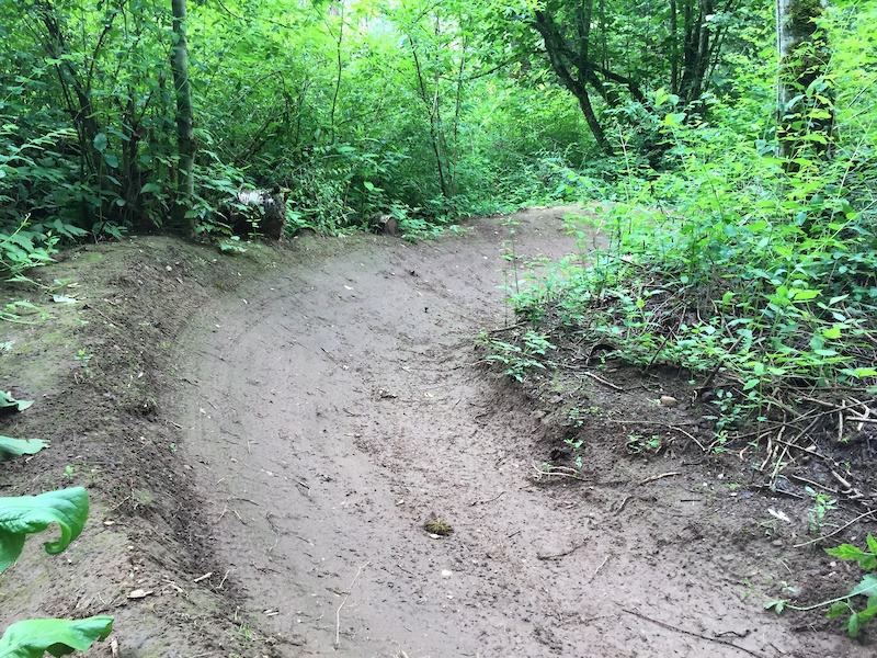 Berm Donor Mountain Biking Trail - Abbotsford, BC
