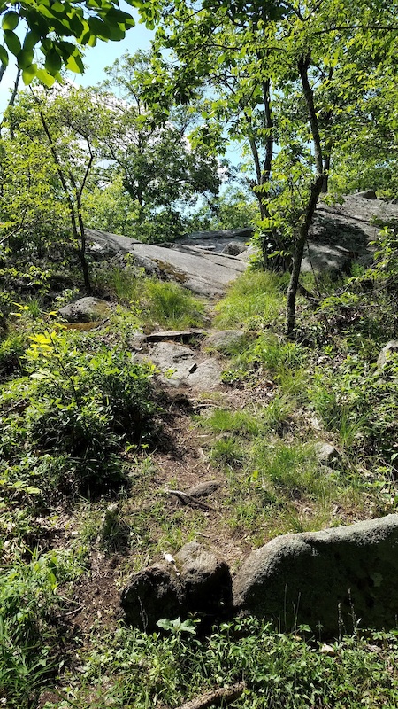 Lumpy Bumpy Mountain Biking Trail - Byram Township