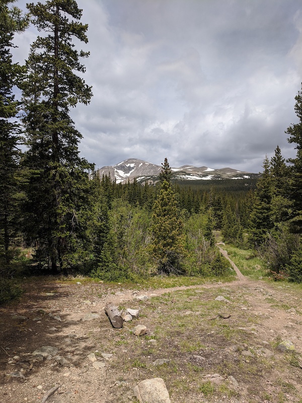 Waldrop Mountain Biking Trail - Ward, Colorado