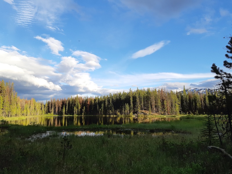 Saturday Night Lake Loop | Trailforks