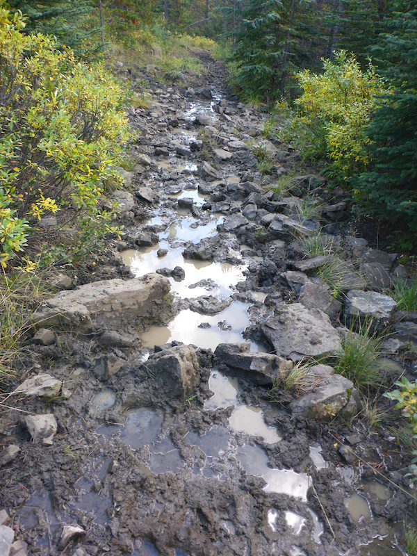 Little Elbow Provincial Recreation Area Mountain Biking Trails | Trailforks