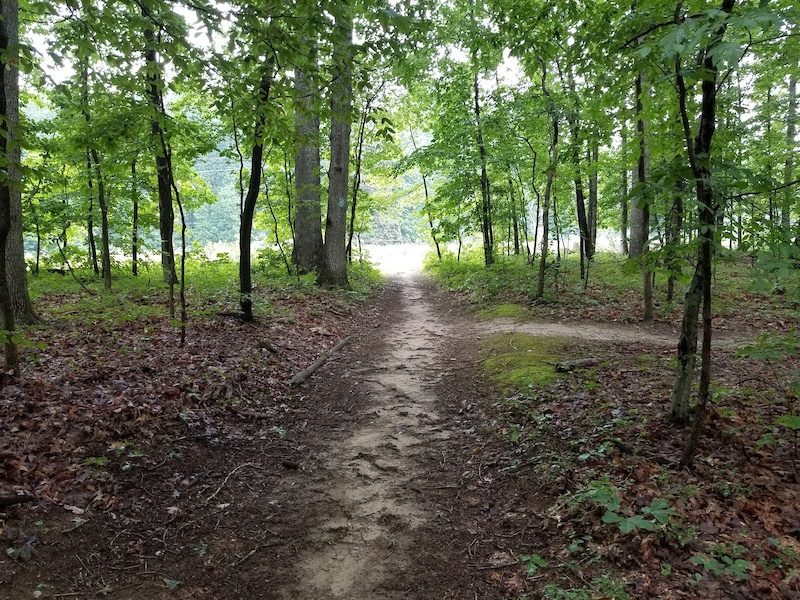 Palmer Trail (Power Line Loop) Multi Trail - Triangle