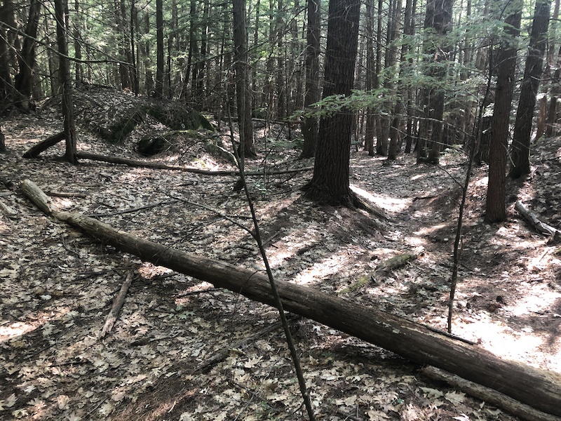Otherside Multi Trail - Lebanon, New Hampshire