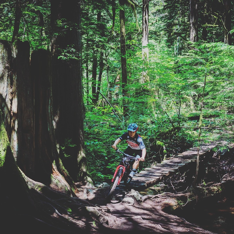 C2 Beginner Alice Lake - Ridelab Mountain Biking Route | Trailforks