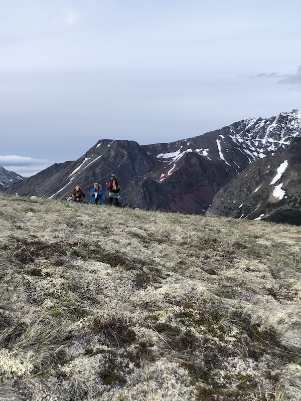 Opal Ridge Hiking Trail - Smithers, British Columbia