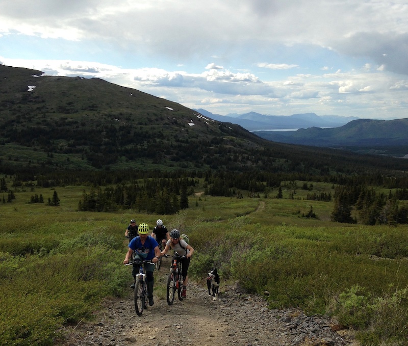 Dominion Creek Mountain Biking Trail - Atlin, BC