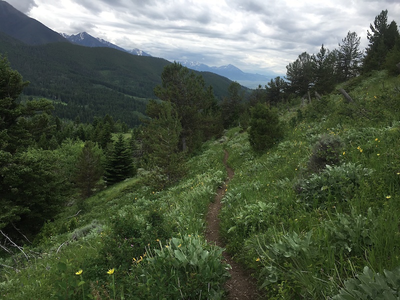 Emigrant, Montana Mountain Biking Trails | Trailforks