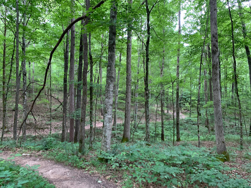 Loyston Point Mill Creek Loop Mountain Biking Route | Trailforks