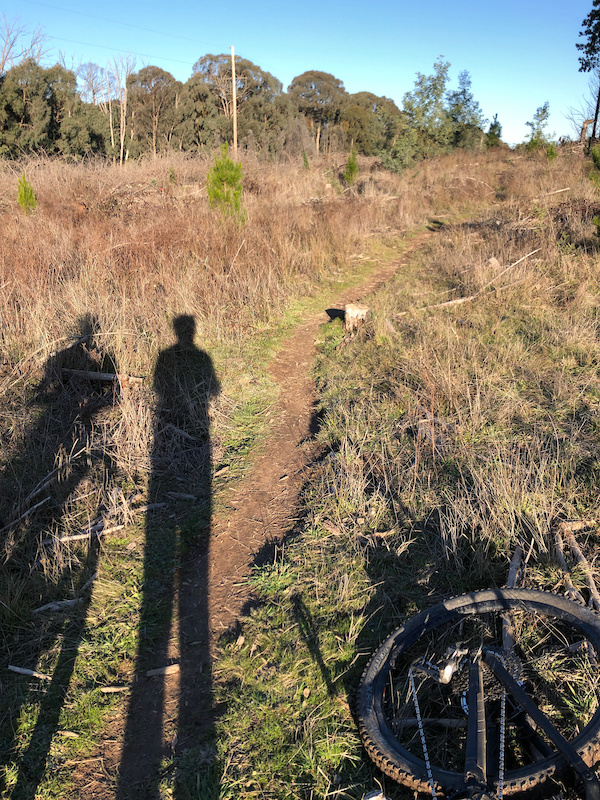 Bumpy and Lumpy Mountain Biking Trail - Tumbarumba