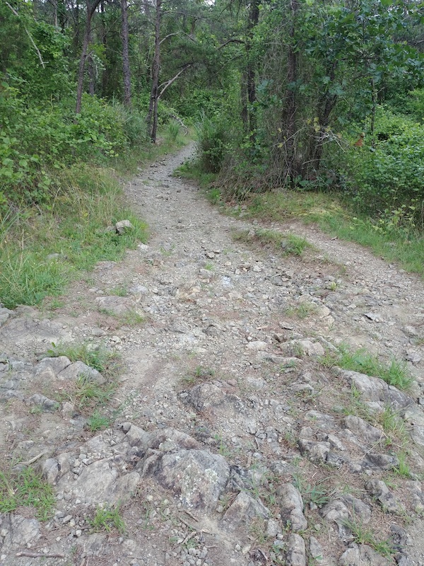 Orange Blazed Trail Mountain Biking Trail - Baltimore