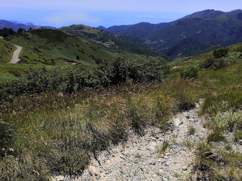 Jump In The Blue Jump Mountain Biking Trail