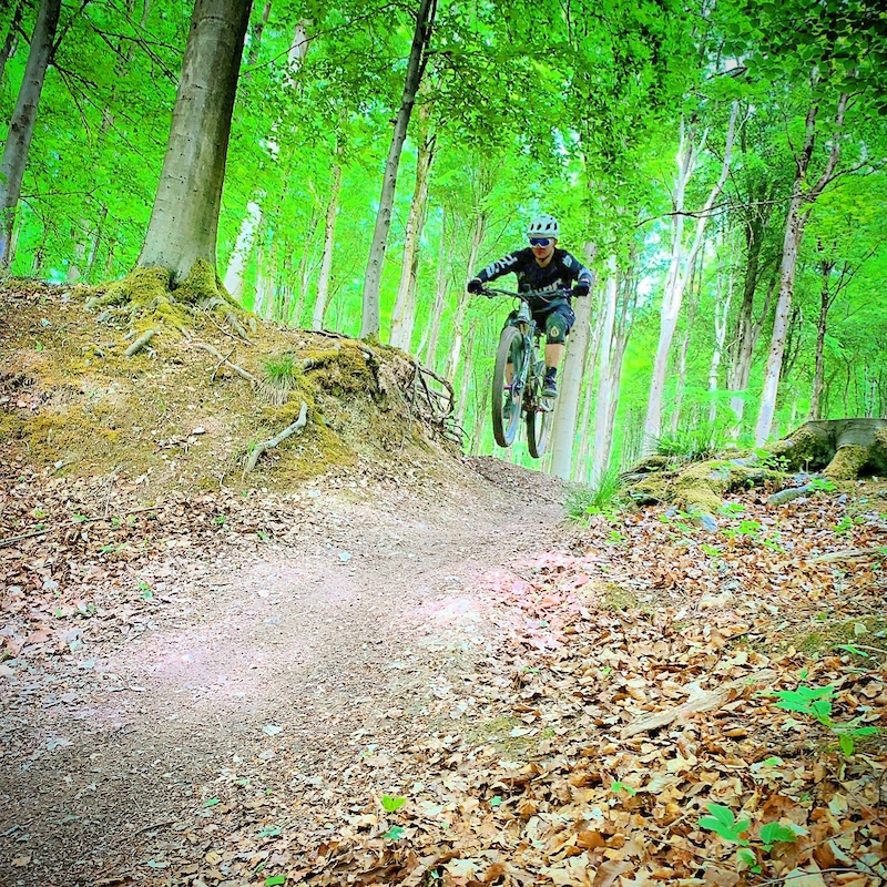 Collingbourne Gully Run Mountain Biking Trail - Salisbury