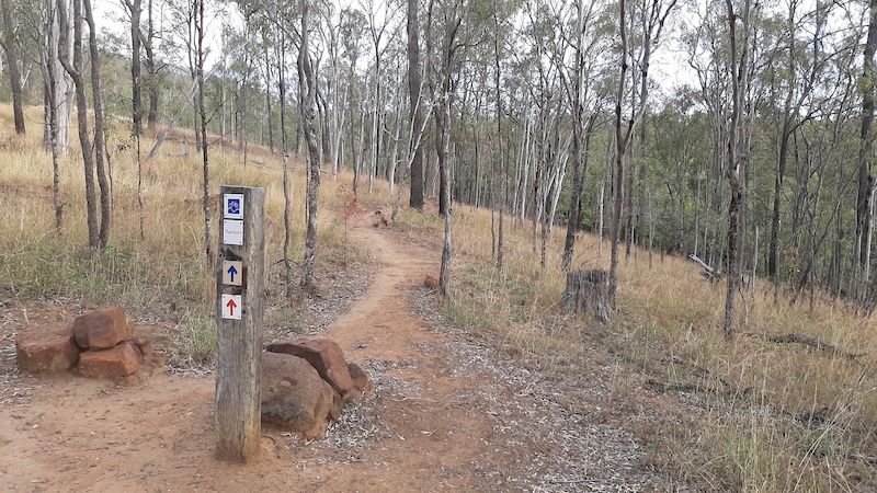 Wombat State Forest Mountain Biking Trails | Trailforks