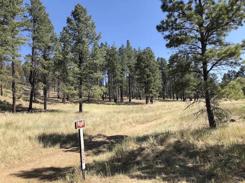 Forest Service Rd Mountain Biking Trail - Albuquerque