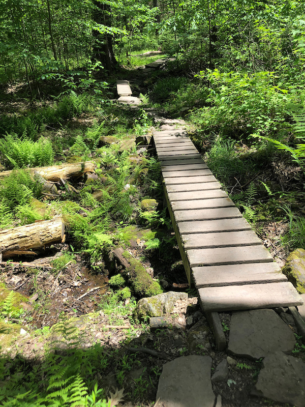 NMBA - Bald Knob Ridge Loop Mountain Biking Route | Trailforks