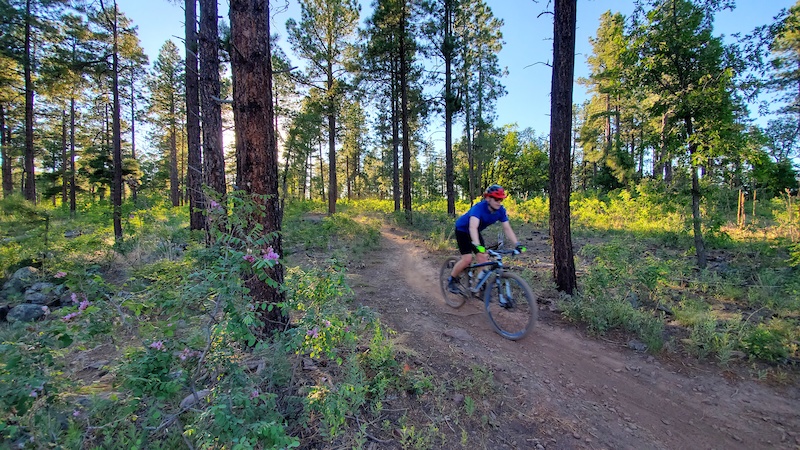 Easy Tuthill Loop Mountain Biking Route | Trailforks