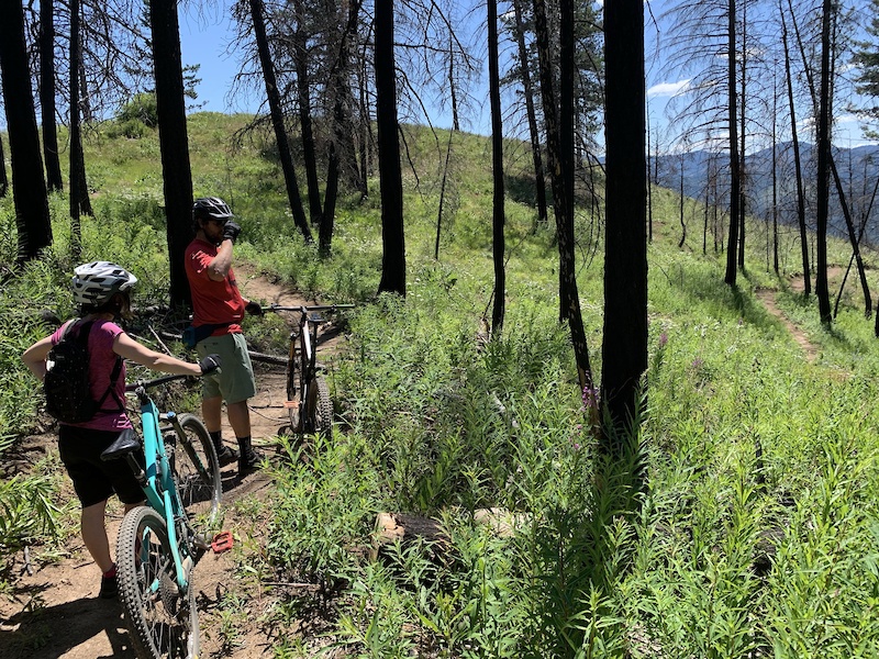 Thompson Ridge Mountain Biking Trail - Winthrop, WA