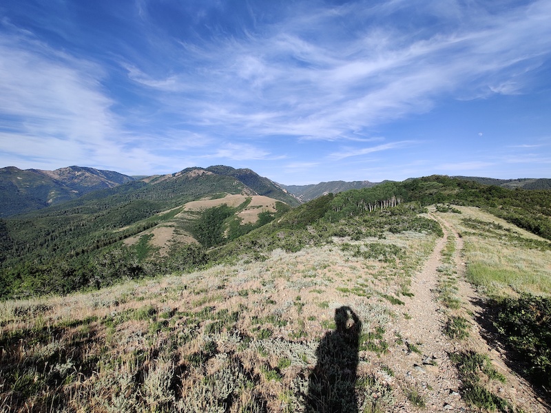 Dude Benchmark Doubletrack Multi Trail - Salt Lake City