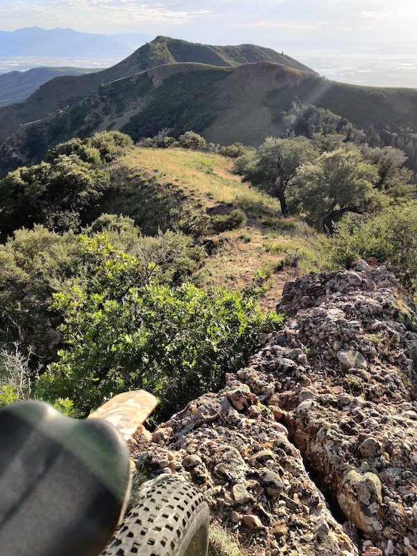 Dude Benchmark Hiking Trail - Bountiful, UT | Trailforks