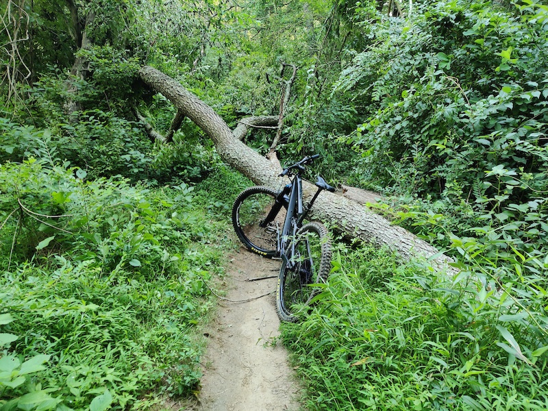 Deadfall Forest Mountain Biking Trail - Fallston, MD