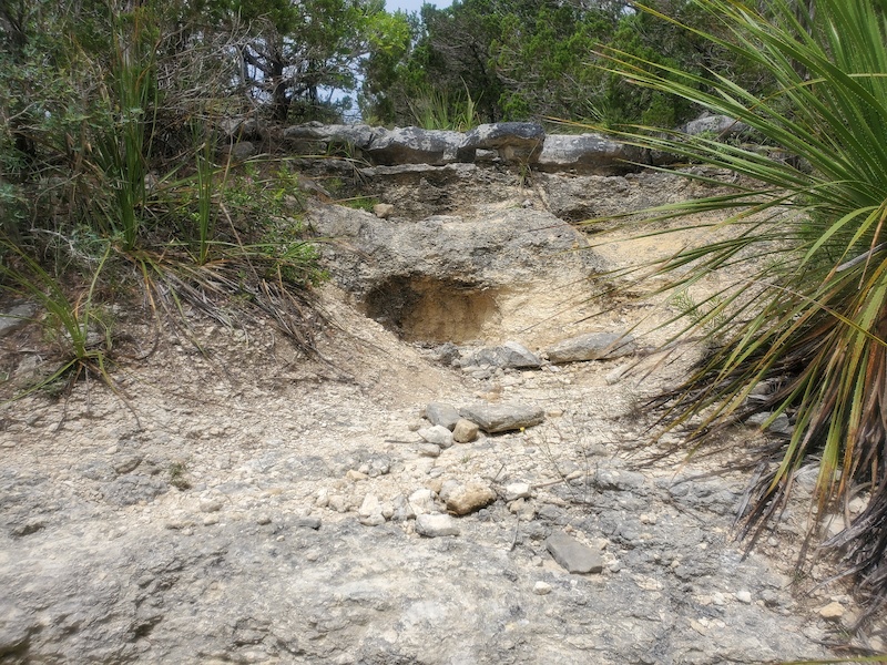 Cactus Rose Counter Clockwise Loop Trail Running Route | Trailforks