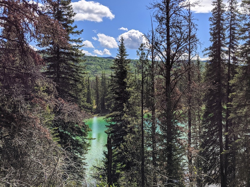 Kettle Trail Hiking Trail - Hinton, AB | Trailforks