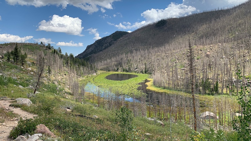 Cub Lake Trail Hiking Trail - Estes Park, Colorado