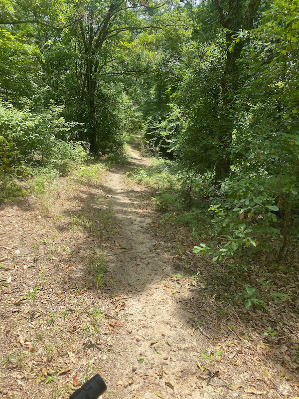 Sawtooth Oaks Loop Mountain Biking Trail - Milledgeville