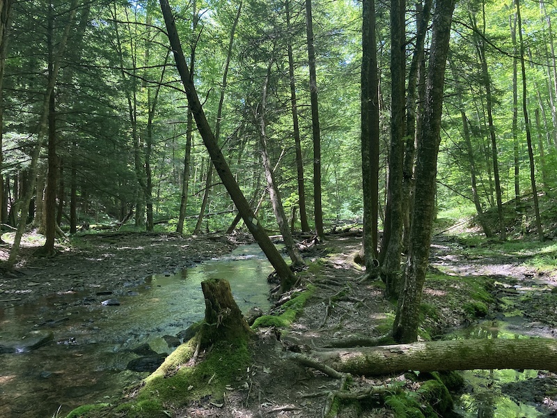Morrison Run Trail Multi Trail - Warren, Pennsylvania