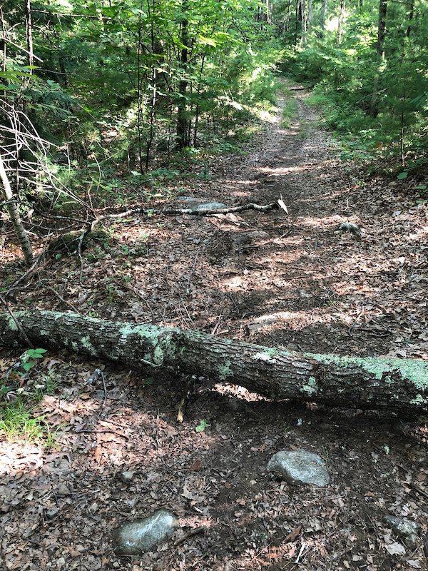 Rocky Hill Trail Hiking Trail - Brookline, New Hampshire