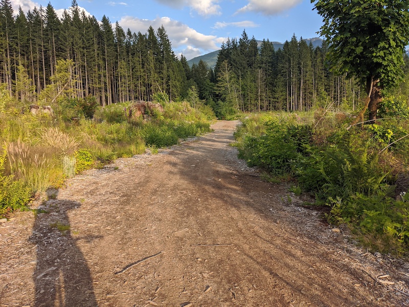 Access Trail Multi Trail - Squamish, BC | Trailforks