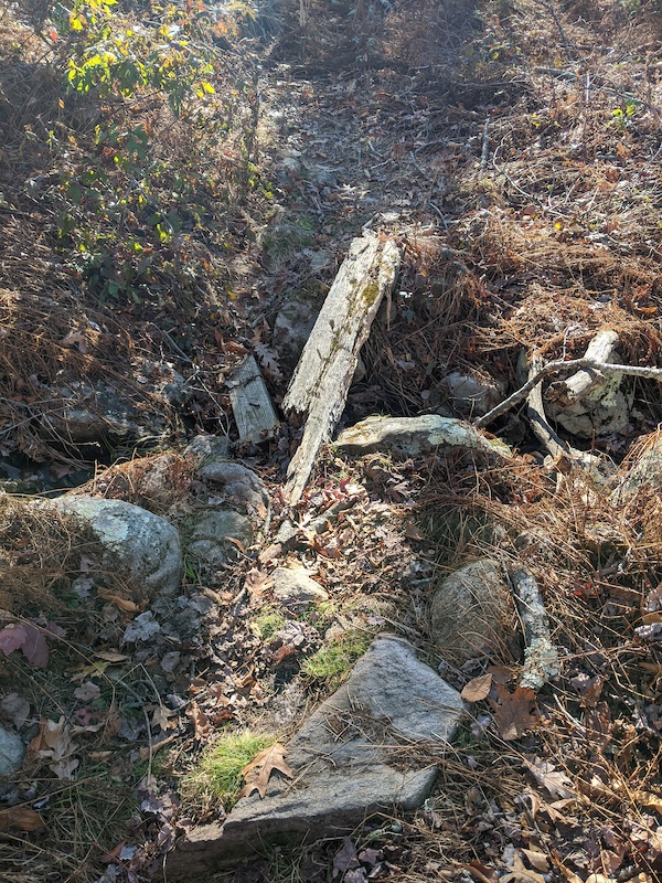 Pachaug Mountain Laurel Loop Hiking Route | Trailforks