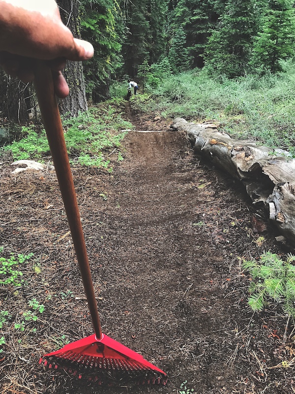 Cody Lake Trail Mountain Biking Trail - Strawberry, CA