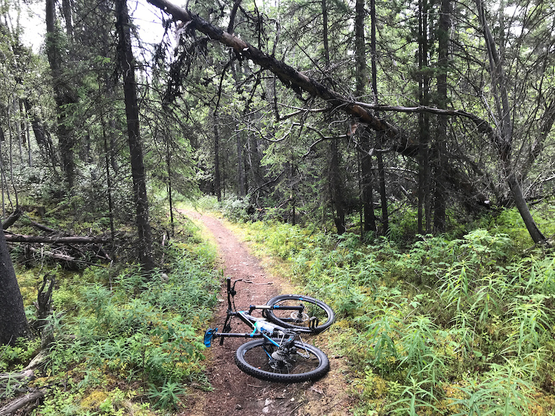 Hawk Ridge Mountain Biking Trail - Whitehorse, Yukon