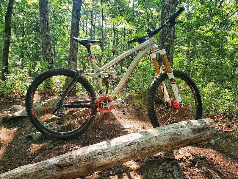 Ellsworth Epiphany 275 Medium For Sale