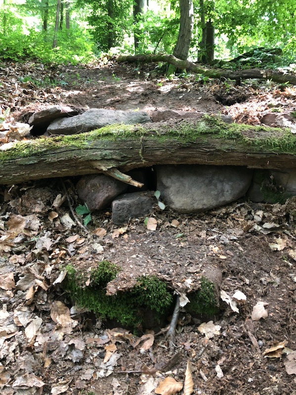 Portal Mountain Biking Trail - | Trailforks