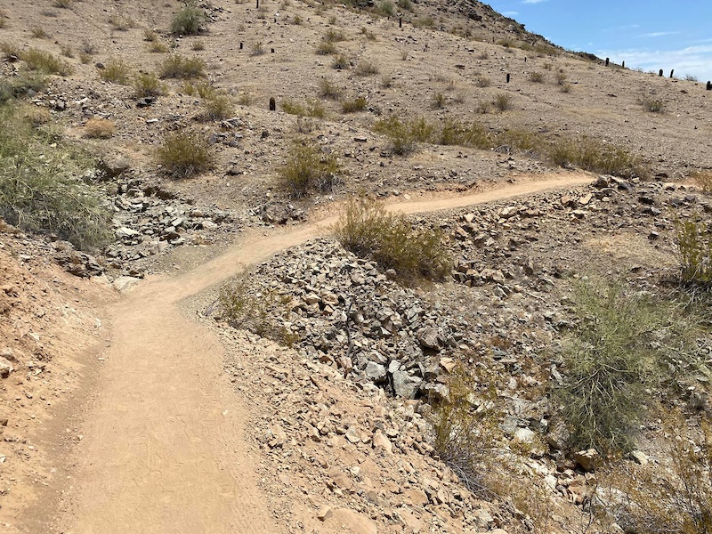 Bursera Canyon Multi Trail - Phoenix, Arizona