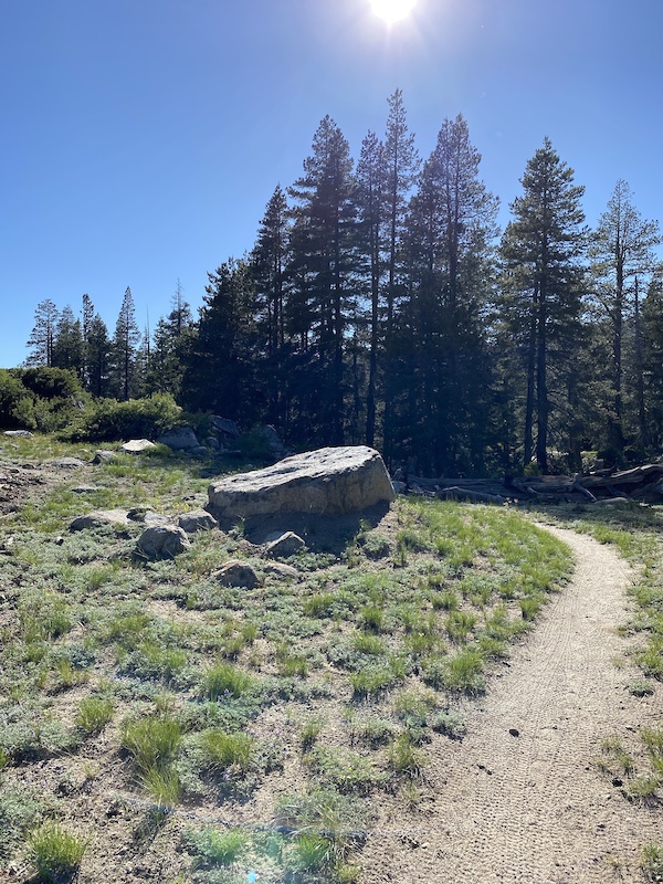 Lake Alpine Loop (Bypass Section) Mountain Biking Trail - Bear Valley, CA