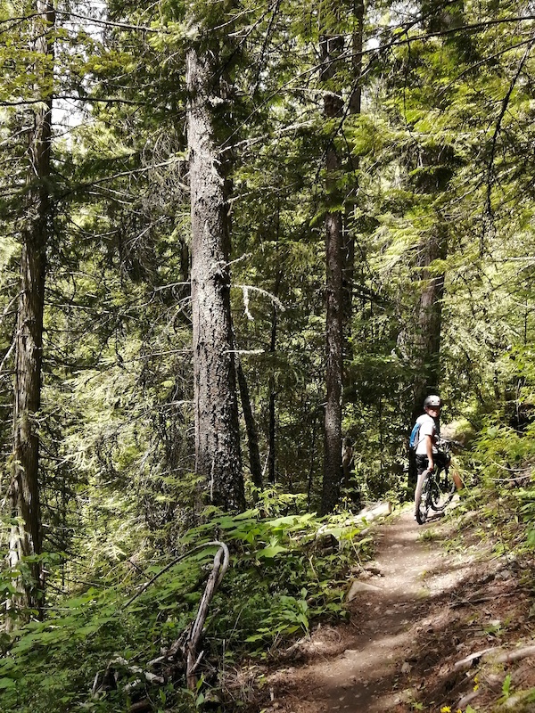 Graveyard Trails Mountain Biking Trail - Nelson, BC