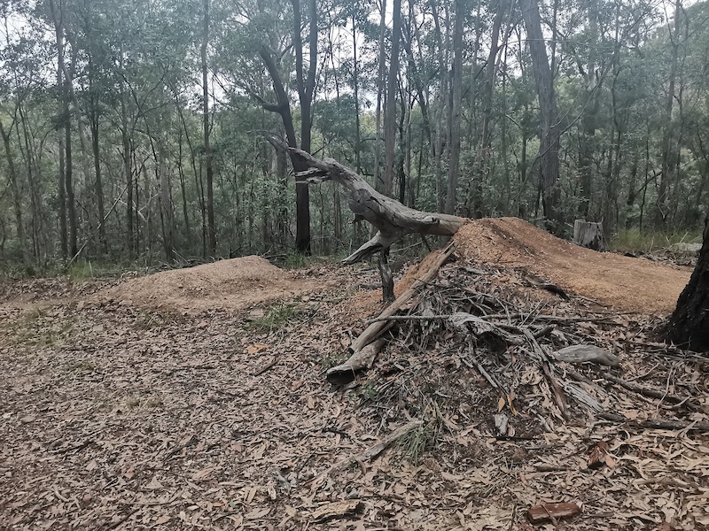 Bonogin, Gold Coast Mountain Biking Trails | Trailforks