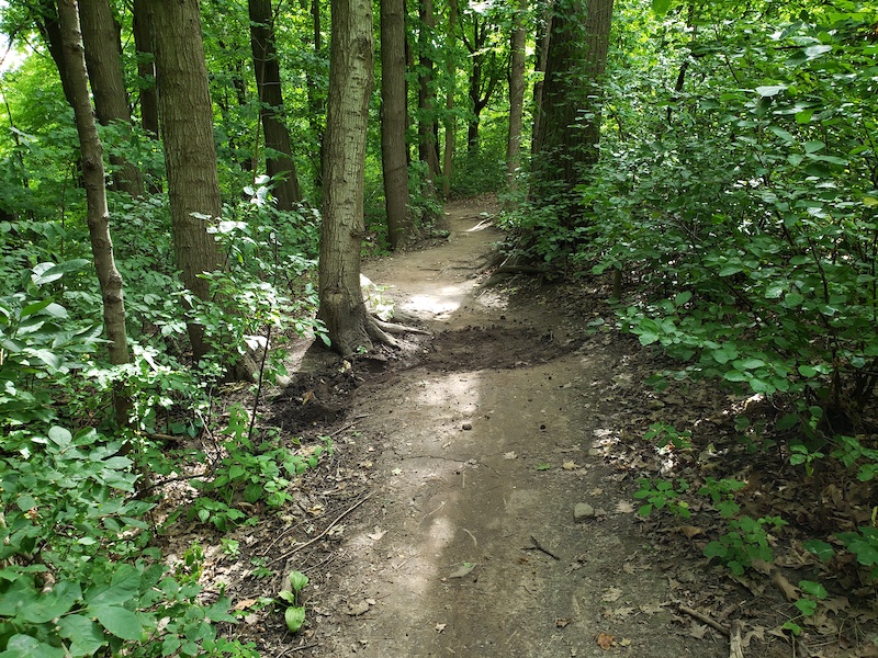 Benchcut DH Mountain Biking Trail - Mississauga, Ontario