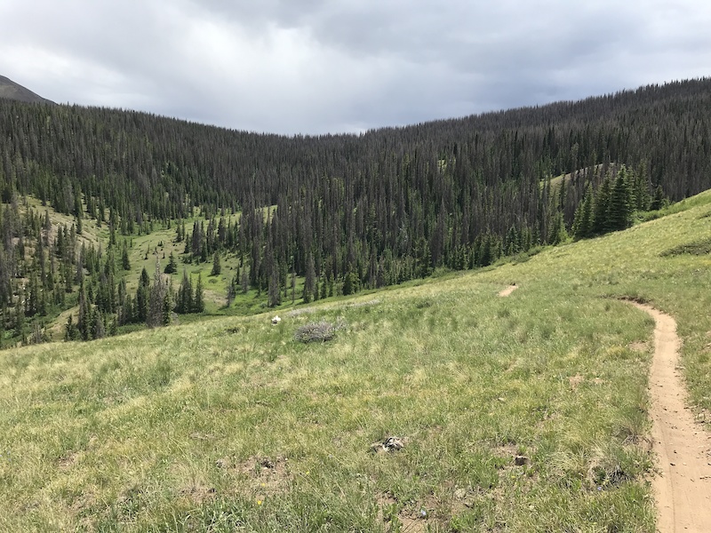 Monarch Crest - The Classic Mountain Biking Route | Trailforks