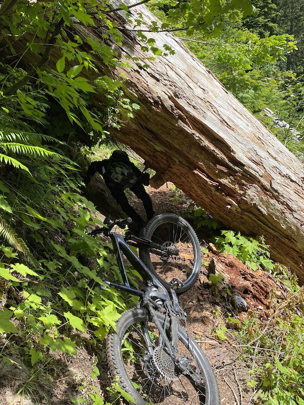 Mt St Helens Circumnavigation Trail Running Route | Trailforks