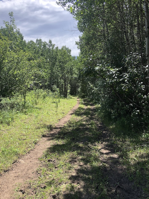 Porcelain Pot Mountain Bike Trail - Pocatello, Idaho