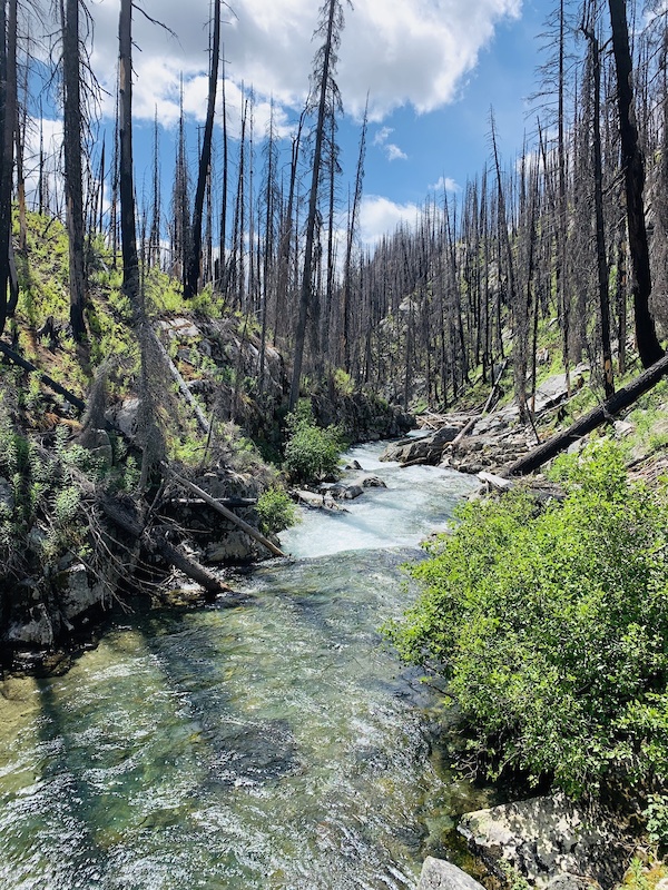 Jul 14, 2020 Entiat River Trail Trail Report | Trailforks