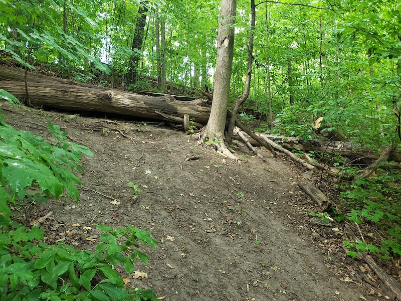 Drop Zone Mountain Biking Trail - Mississauga, Ontario